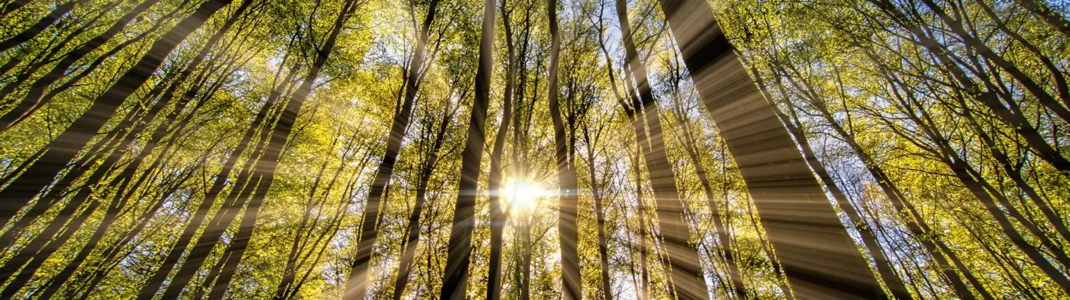 Projects / ECOPOL TECH